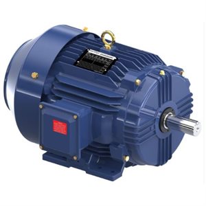 Universal Electric Motors | Motors, Automation & Accessories